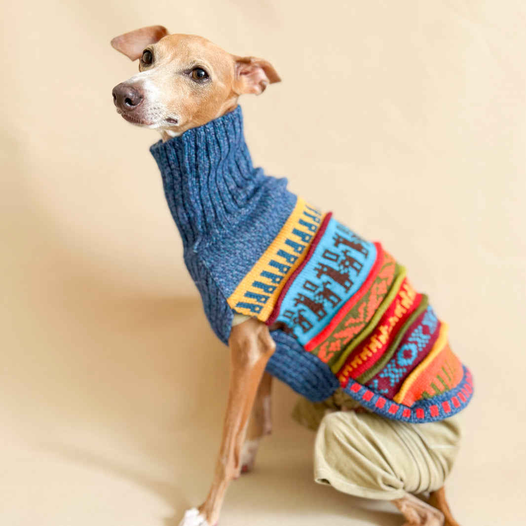 Alpaca Sweater – Iggy Mood